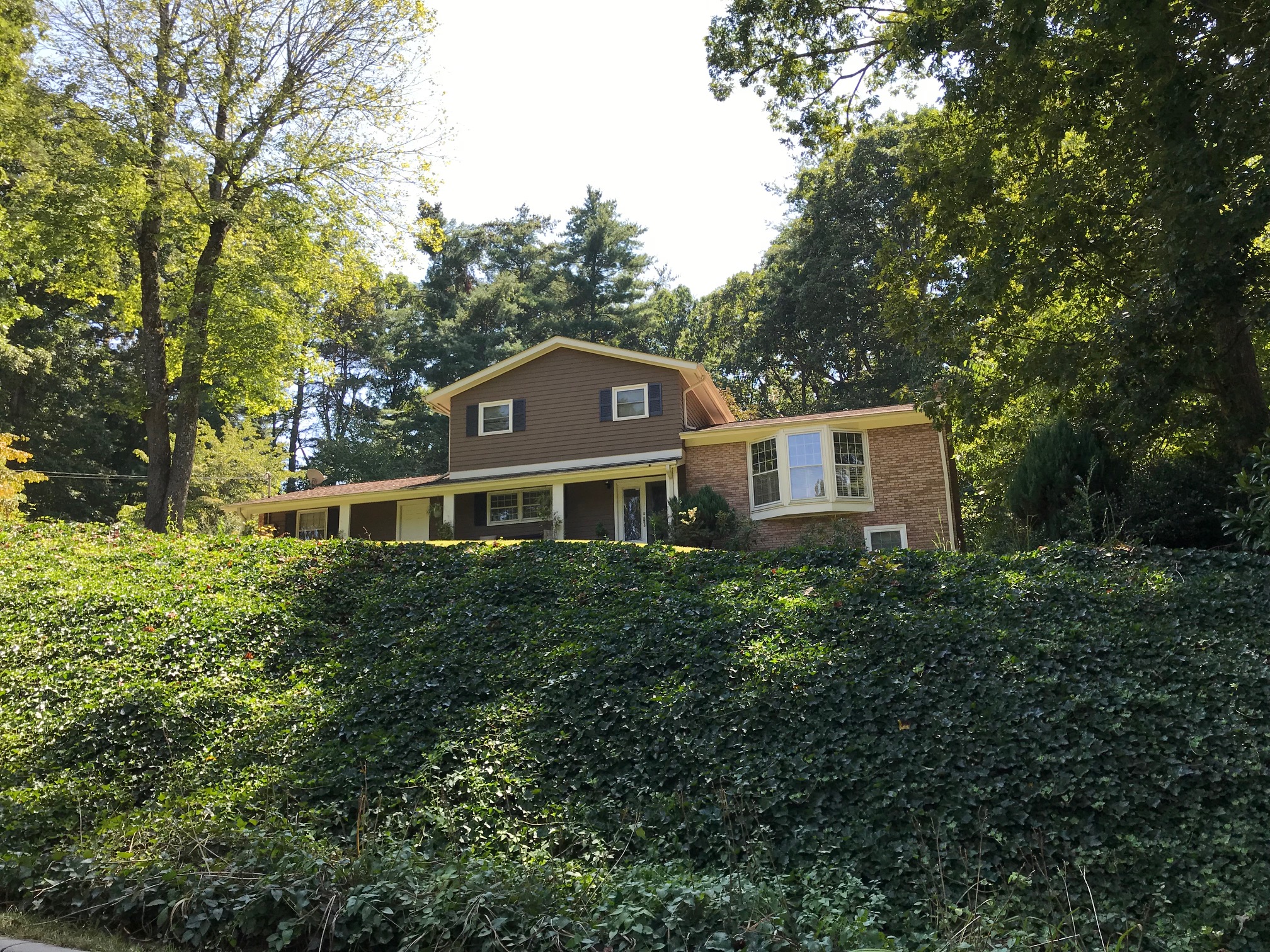 Asheville Neighborhoods-Woodside Hills | mid century modern asheville